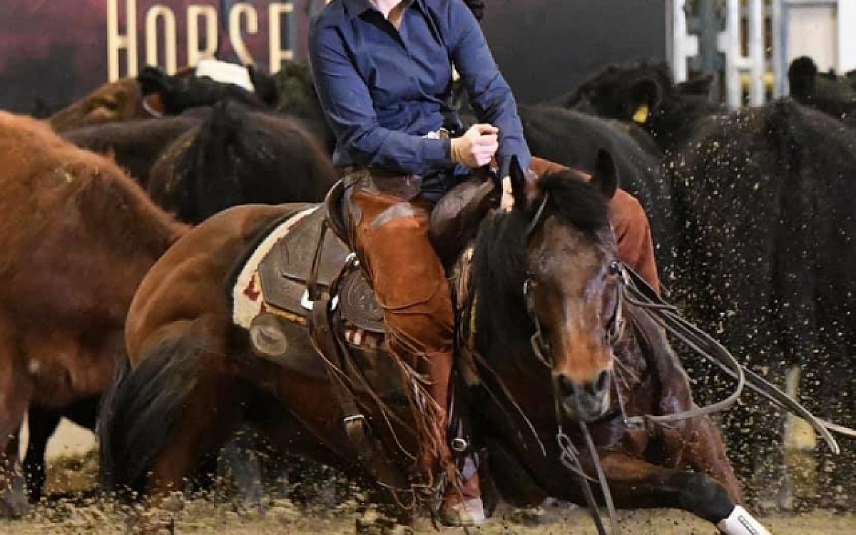 Our Mares | Beechfork Ranch