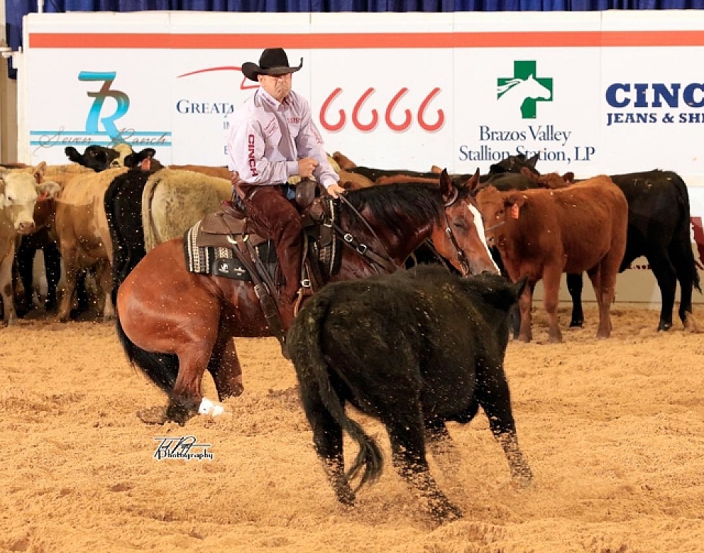 Beechfork Ranch | CR Tuff Taboo